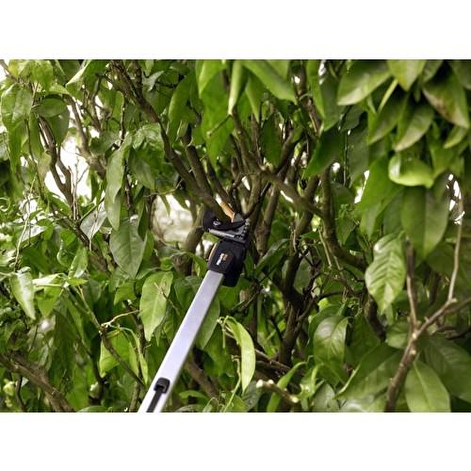 Fiskars 115012 Teleskopik Yüksek Dal Budama Makası UPX 86 Fiyatları ve ...