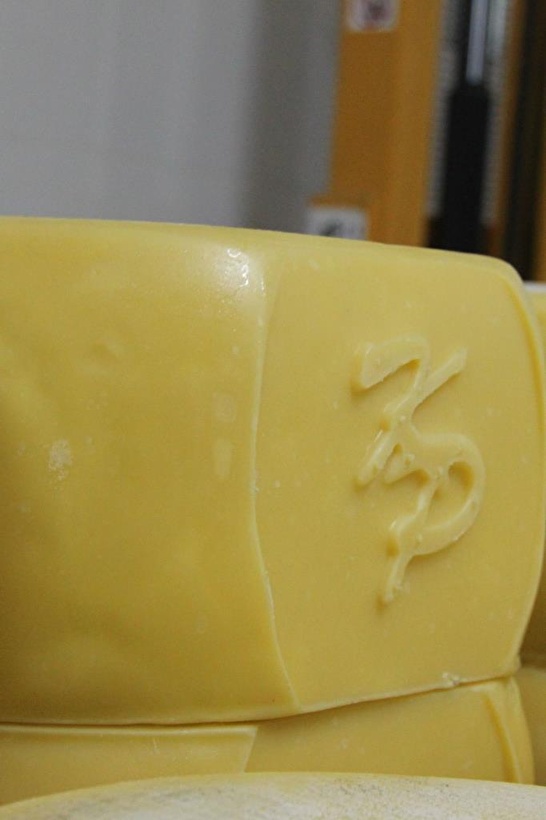 Boğatepe Eski Kaşar Peyniri 1/2 Teker - 6 kg Fiyatları ve Modelleri ... Boğatepe Eski Kaşar Peyniri 1/2 Teker - 6 kg Fiyatları ve Modelleri ...